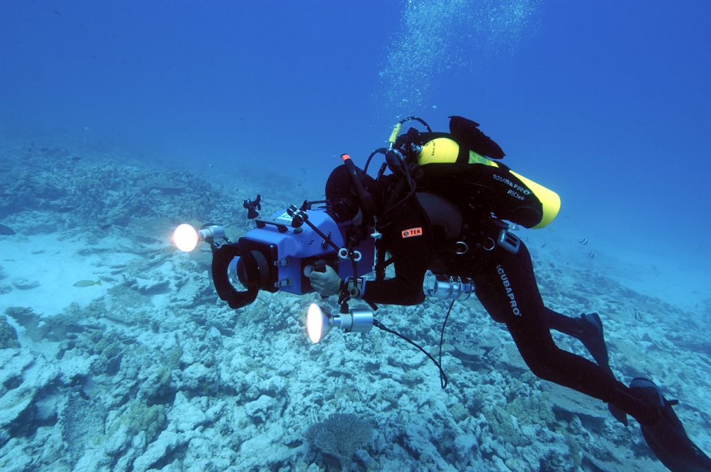 Home page - Pure Ocean Fund