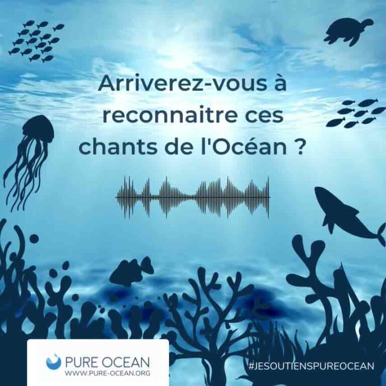 Pure Ocean Fund