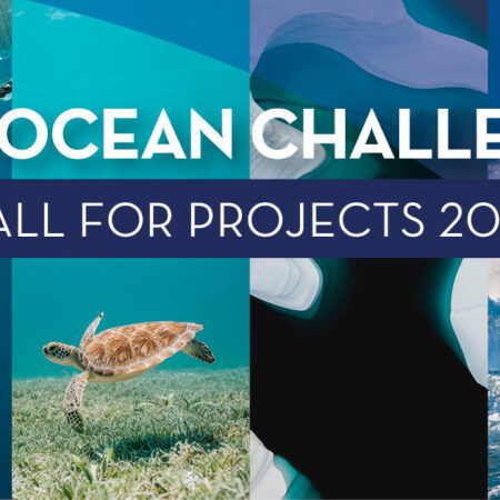 Call for Projects 2023 – Pure Ocean Fund