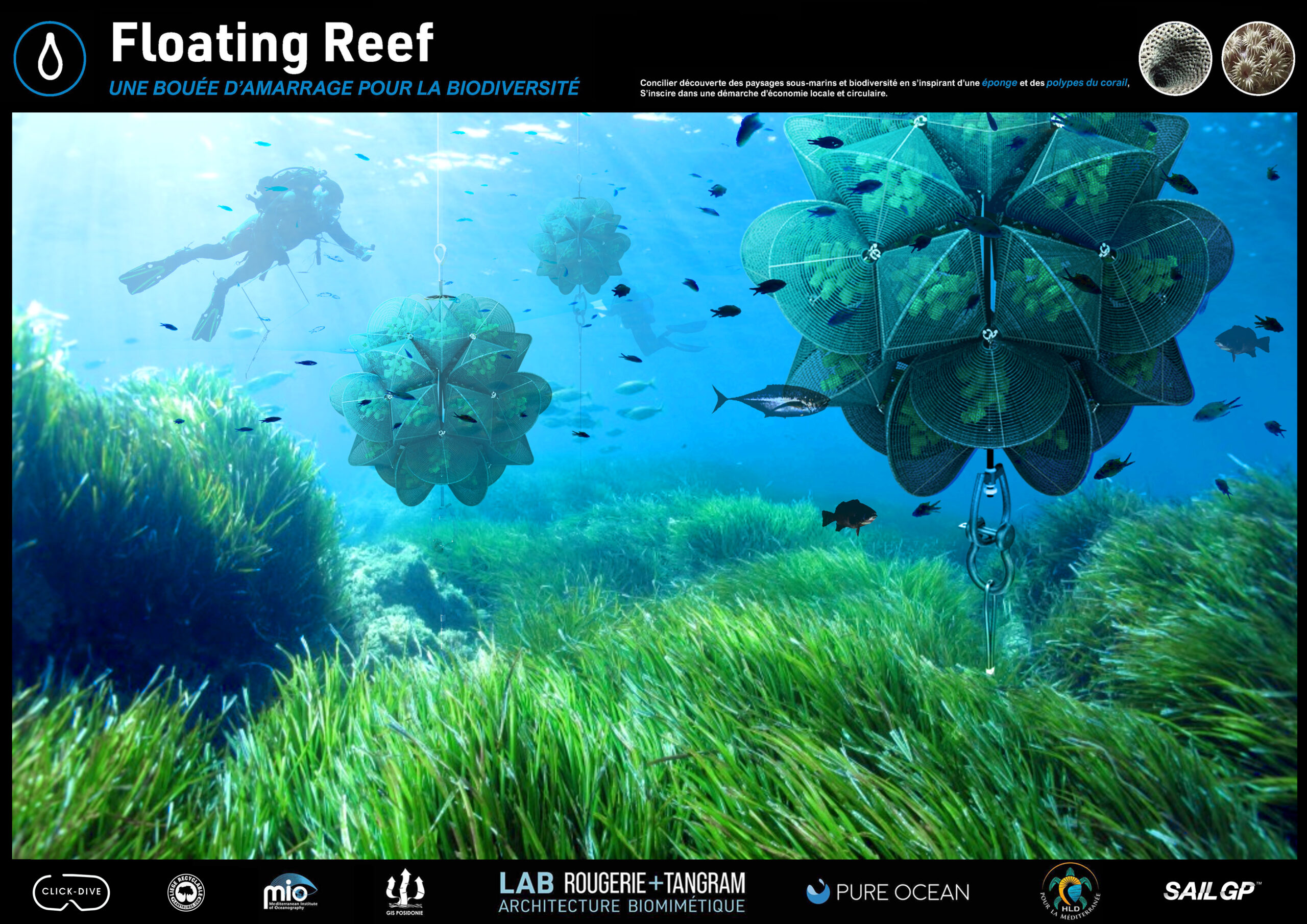 Floating Reef - Pure Ocean Fund