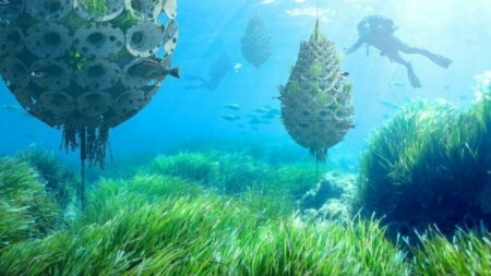 Floating Reef - Pure Ocean Fund