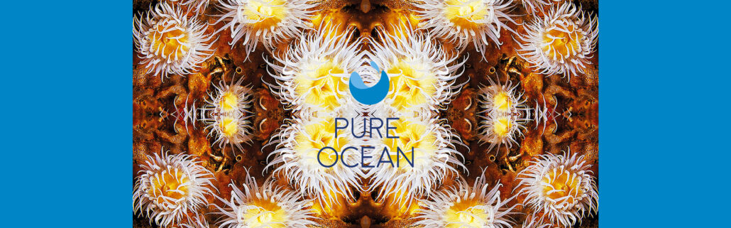 Pure Ocean Fund