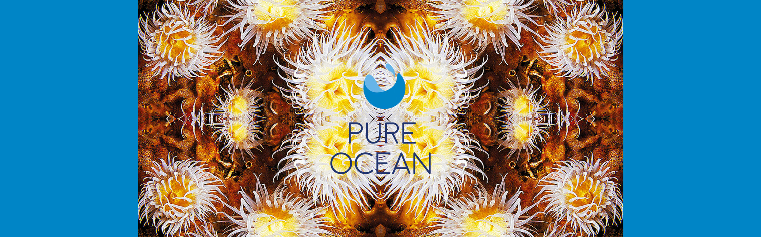 Pure Ocean Fund