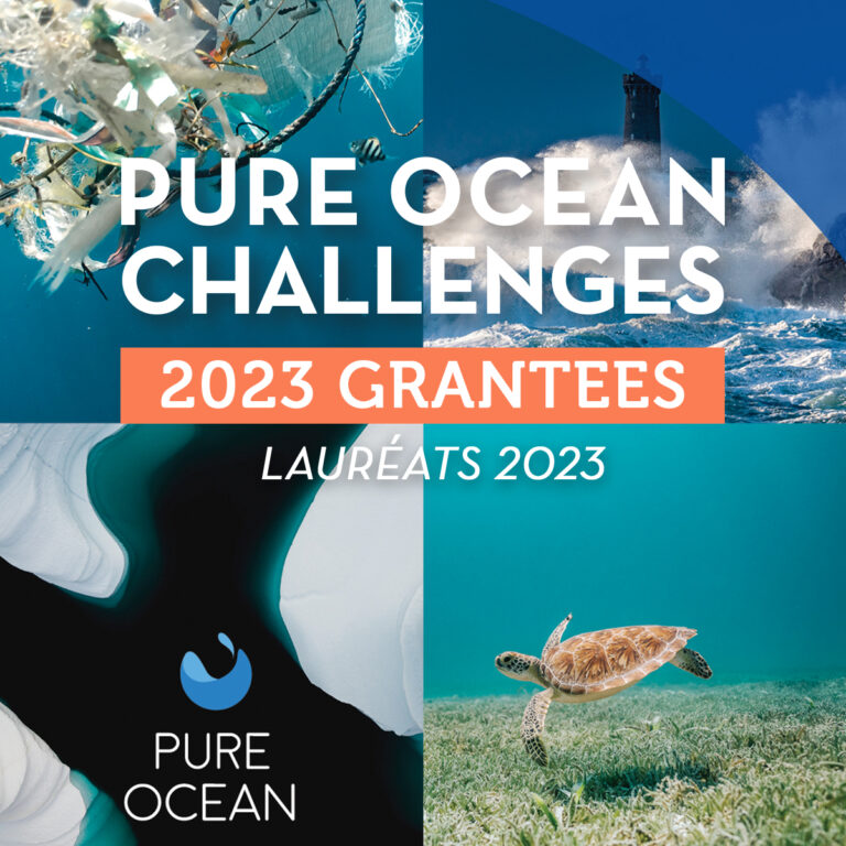 Call for Projects 2023 - Pure Ocean Fund