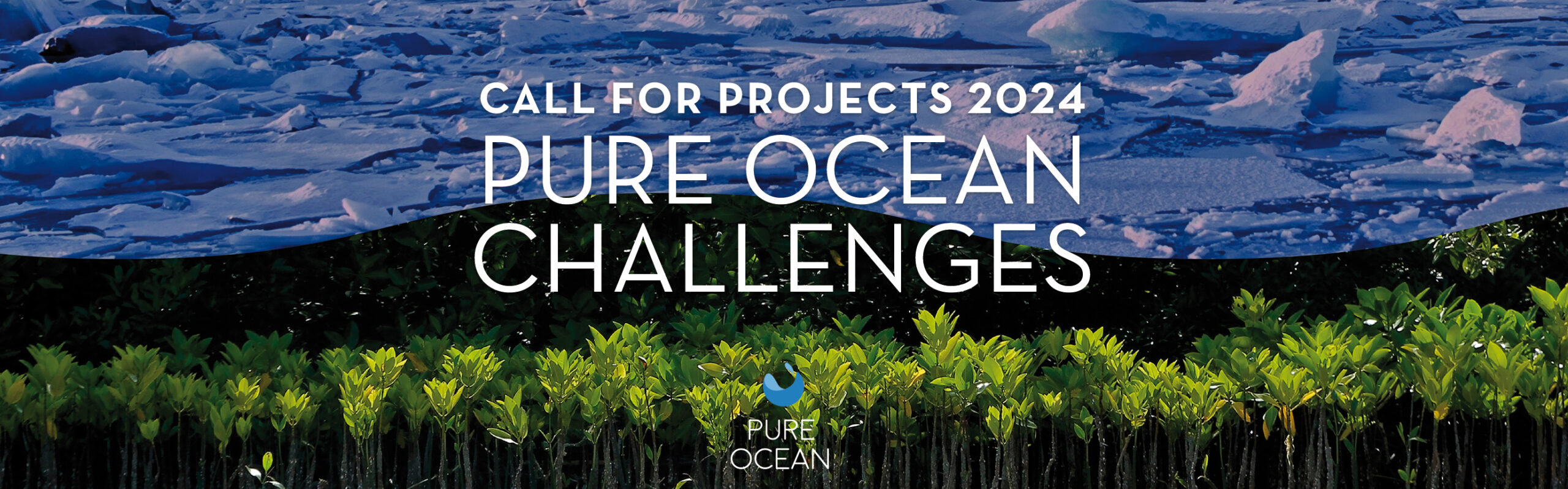 Home page - Pure Ocean Fund