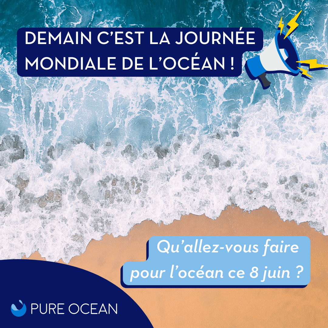 D-1 to World Ocean Day: general mobilization! - Pure Ocean Fund