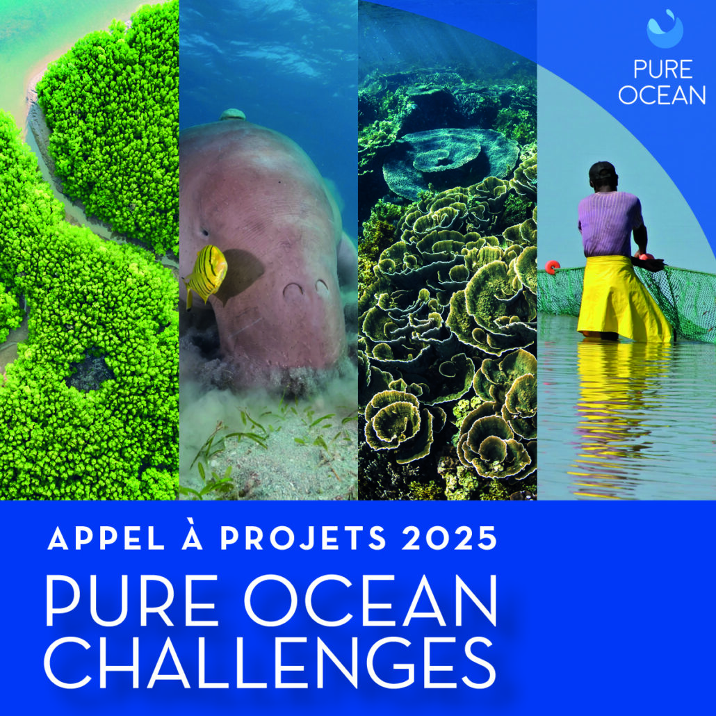 Call for projects 2025 - Pure Ocean Fund