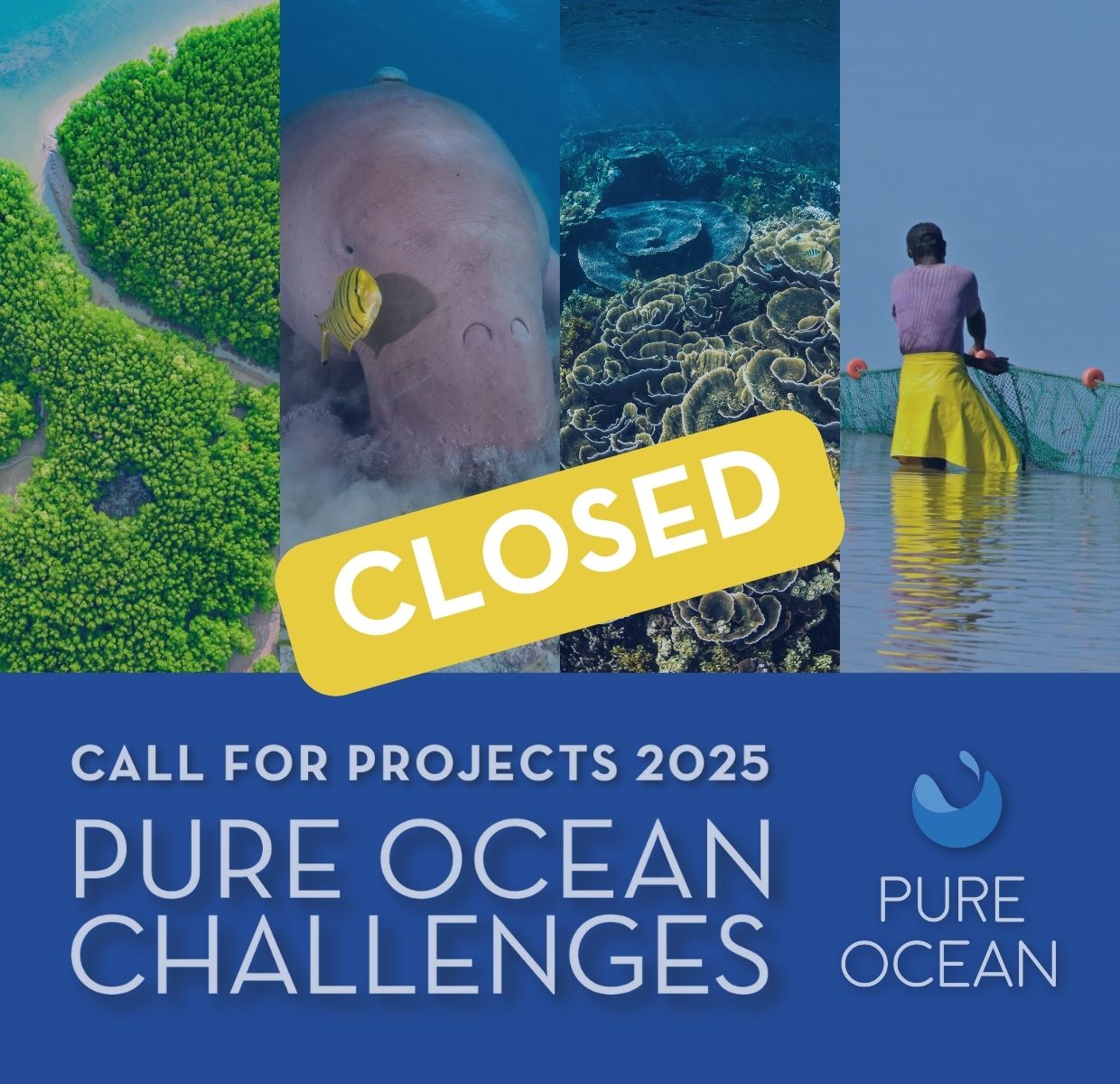 Call for Projects 2025: ocean research needs you! - Pure Ocean Fund