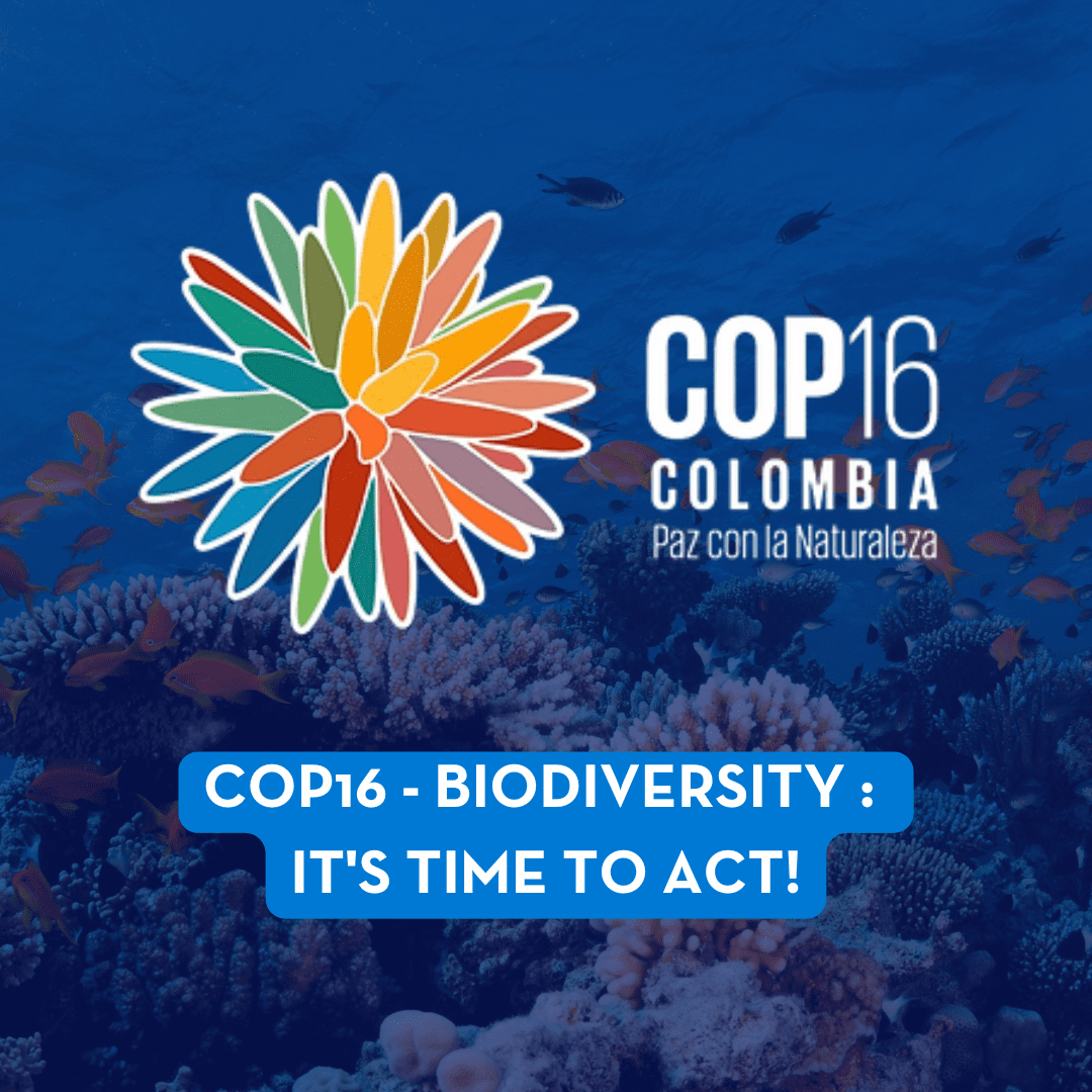 COP16 - Biodiversity: the urgency to act is here! - Pure Ocean