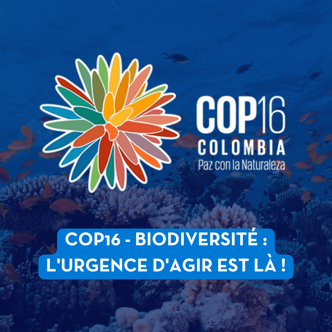 COP16 - Biodiversité : L'urgence d'agir est là ! - Pure Ocean Fund