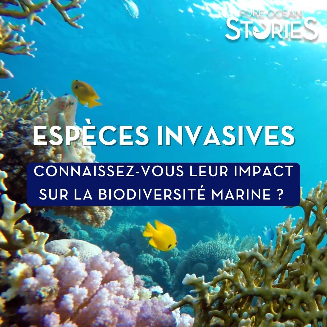 Pure Ocean Stories : Les Espèces Invasives - Pure Ocean