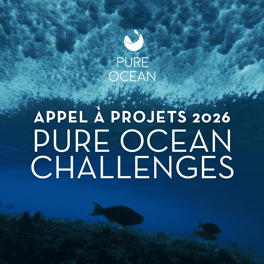 L'appel à projets 2026 est ouvert ! - Pure Ocean