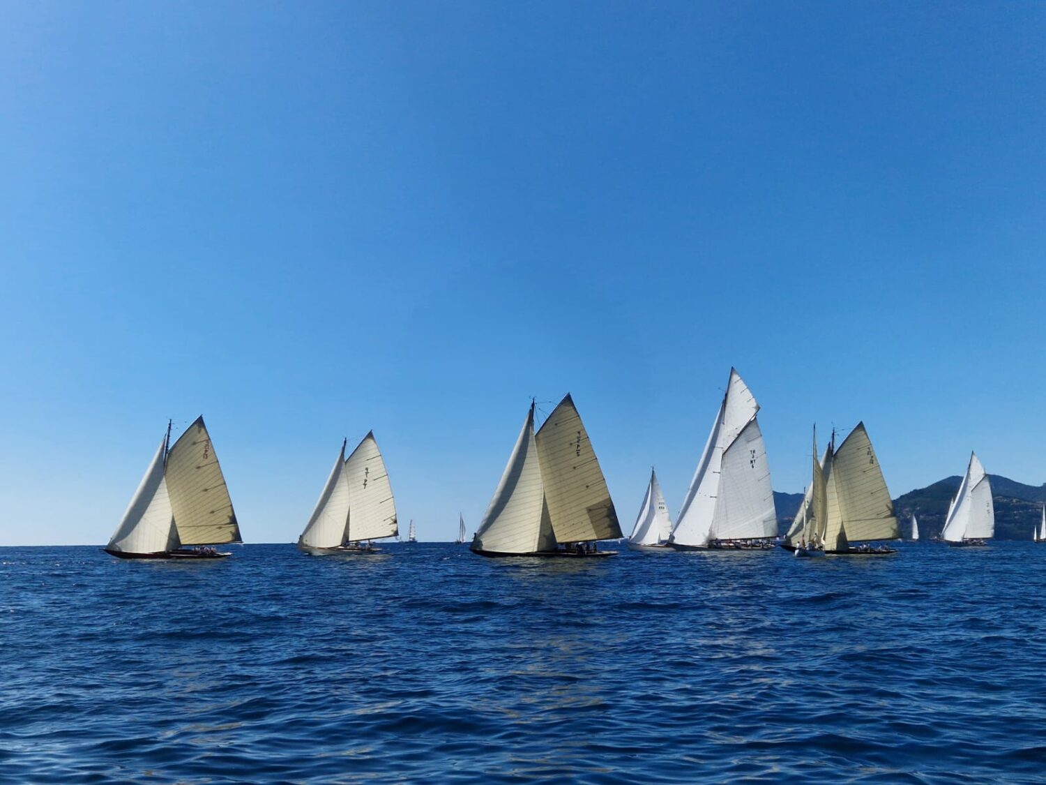 Pure Ocean, the official cause of the 2025 Régates Royales de Cannes ...