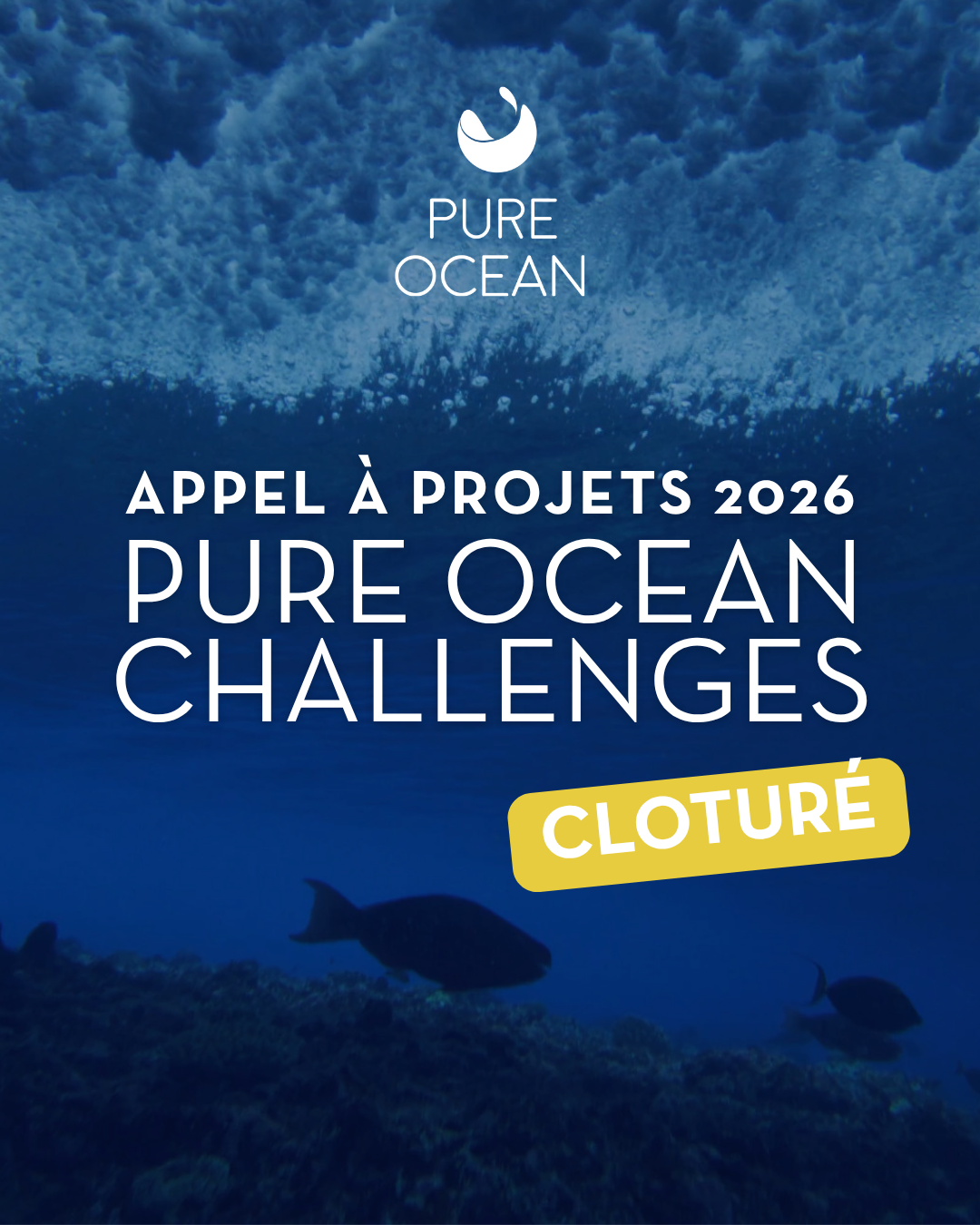 1 océan. Des centaines d’idées pour le protéger. - Pure Ocean