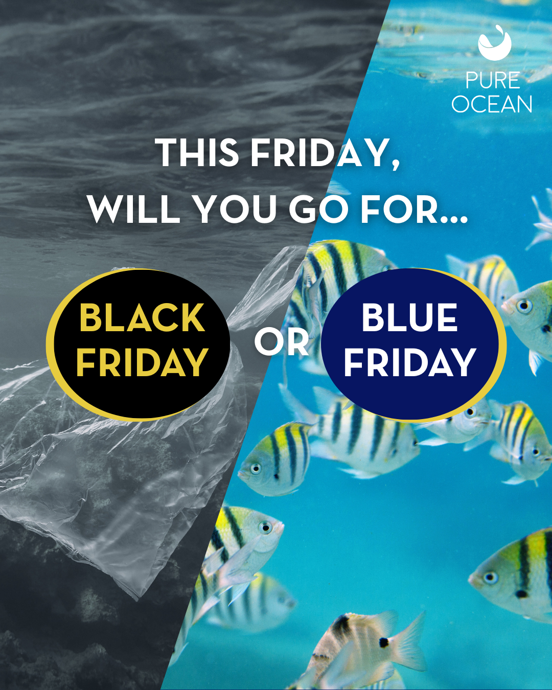 What if this Friday, the ocean came before your wishlist? - Pure Ocean