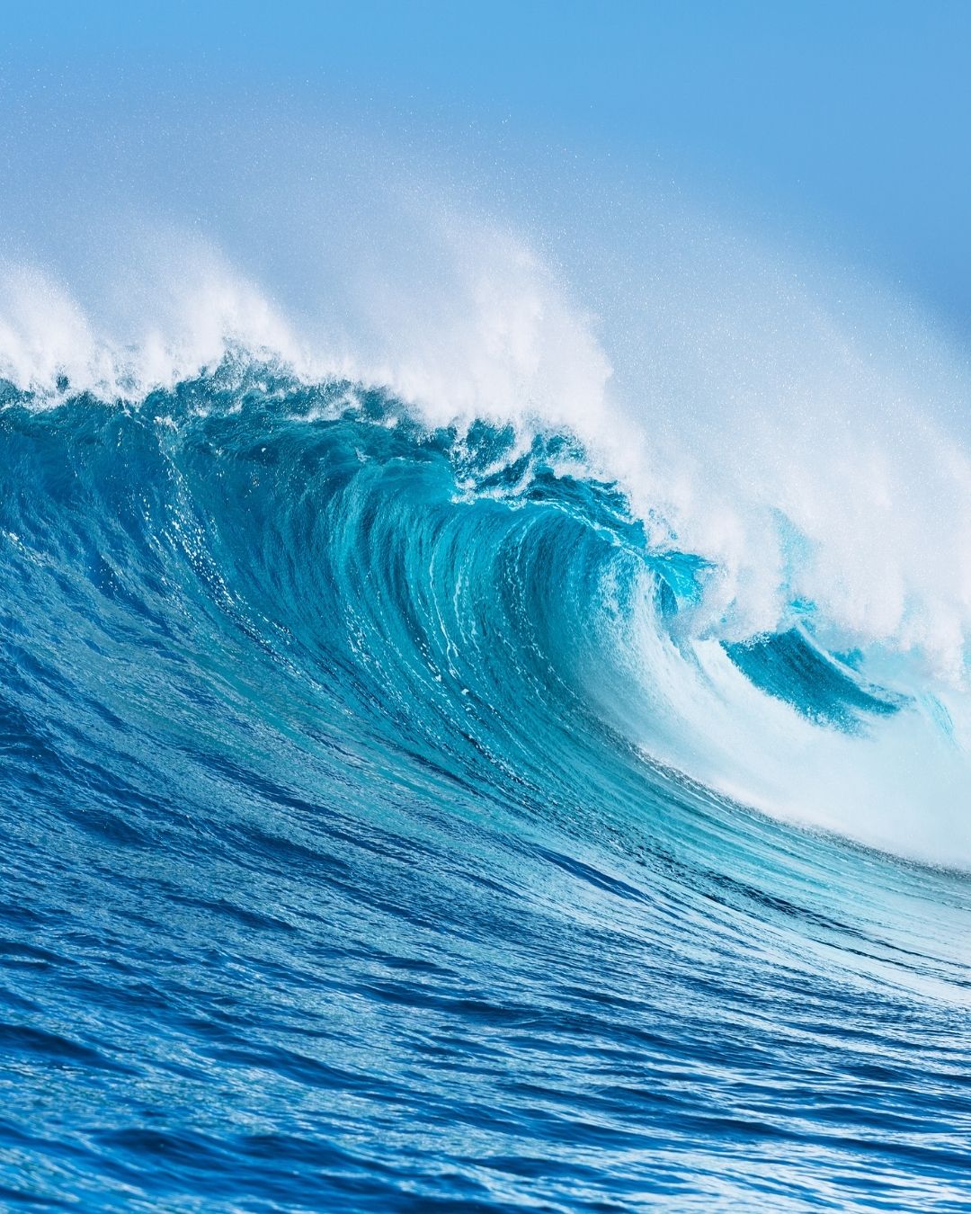 Have you made any resolutions for the ocean in 2026? - Pure Ocean