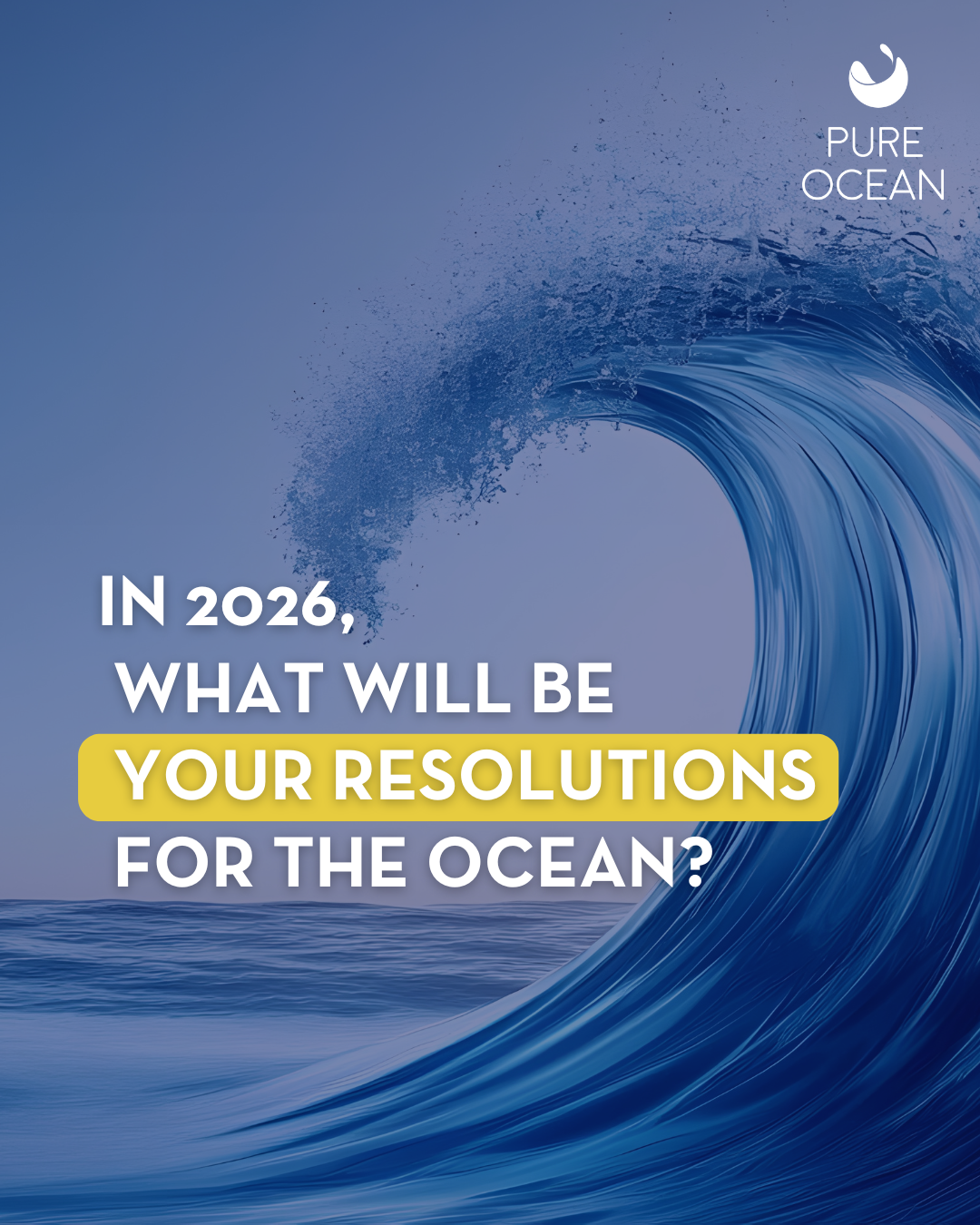 Have you made any resolutions for the ocean in 2026? - Pure Ocean